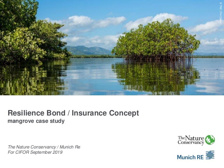 Resilience Bond / Insurance Concept: mangrove case study - CIFOR-ICRAF ...