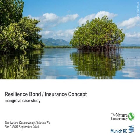 Resilience Bond / Insurance Concept: mangrove case study | PDF