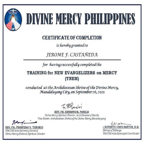 Training for New Evangelizers on Mercy (TNEM) Certificate of Completion ...