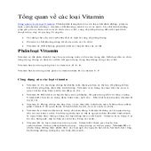 Tổng quan về các loại Vitamin.pdf
