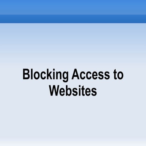 Blocking Access to Websites | PDF