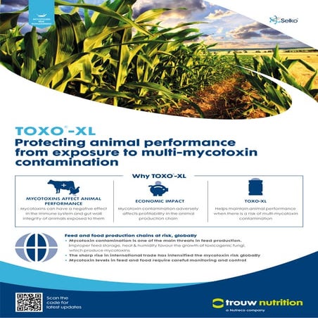 Mycotoxin contamination protector- TOXO-XL | PDF | Infectious Diseases ...