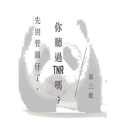 TNR簡介 | PDF