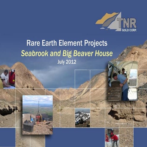 TNR Gold Rare Earth Element Projects | PDF