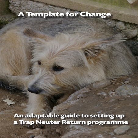 TNR: A Template for Change | PDF
