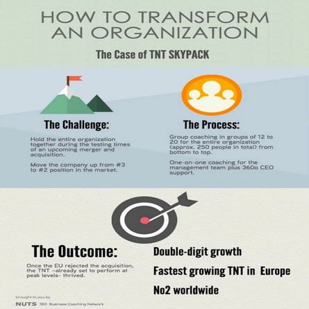 TNT | PDF