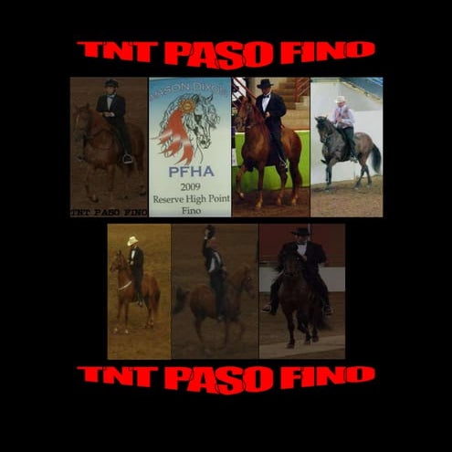 Tnt paso fino | DOCX