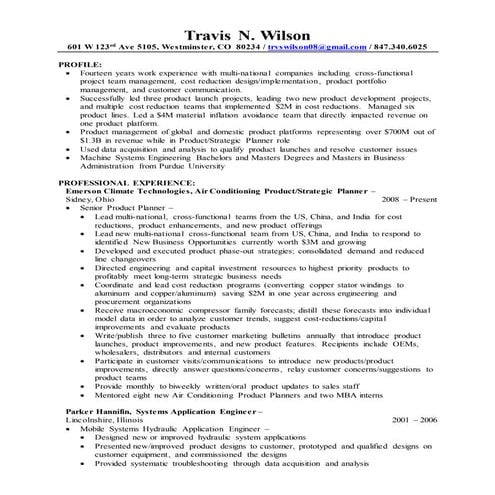 David Resume | DOC