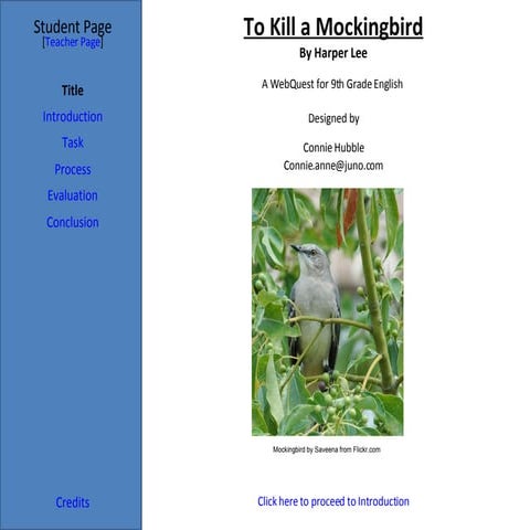 To Kill A Mockingbird Powerpoint | PPT