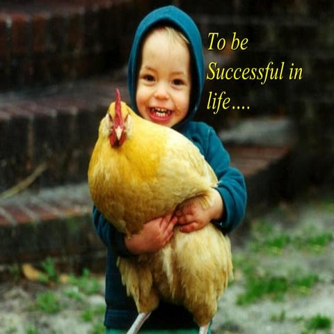 To Succeed In Life | PPS