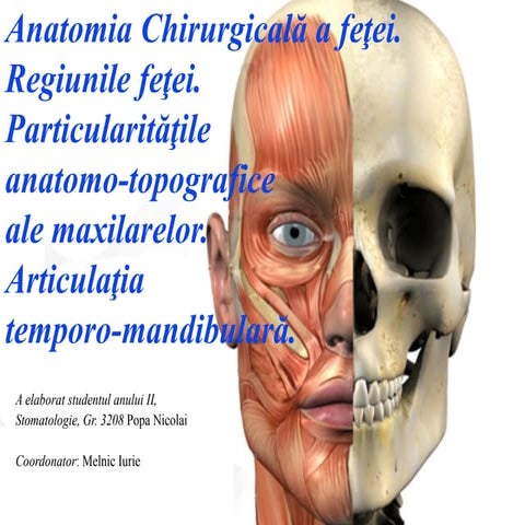 toaz.info-166295764-anatomia-chirurgicala-a-feei-pr ...