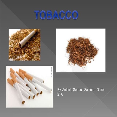 Tobacco | PPT