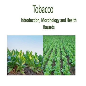 TOBACCO .pptx