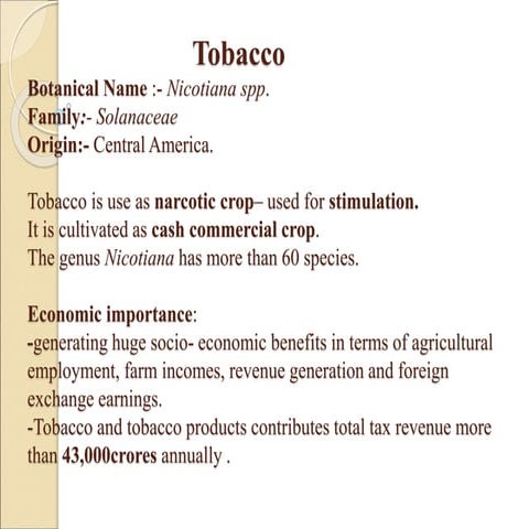 Tobacco.ppt Details cultivation practices of Tobacco | PPT