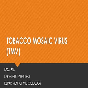 TOBACCO MOSAIC VIRUS (TMV) and its control .pptx