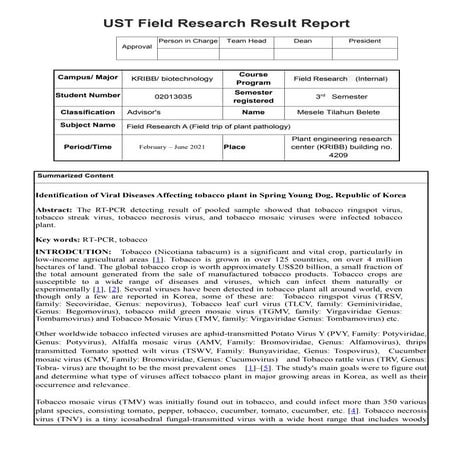 Tobacco Result to UST Report.doc