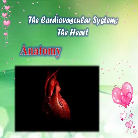 ANATOMY AND PHYSIOLOGY OF THE HEART | PPTX