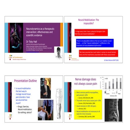 ‘Neurodynamics as a therapeutic intervention; the effectiveness and ...