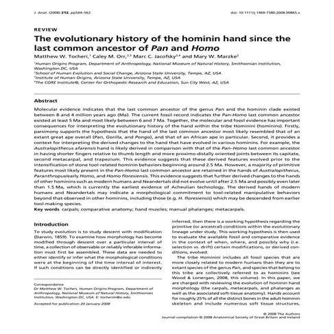 The evolution of human and ape hand proportions | PDF
