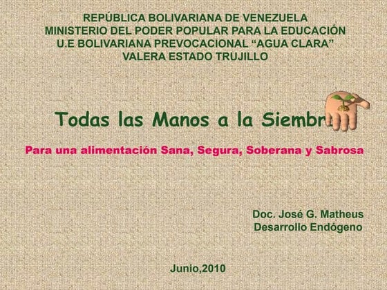 Proyecto: “Siembro una planta y adorno mi escuela” | PDF