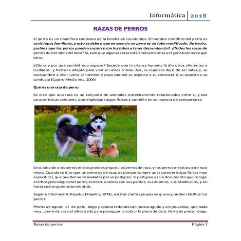 Razas de perro | DOCX