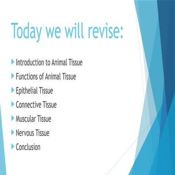 Let;s Rock it Today we will revise.pptx