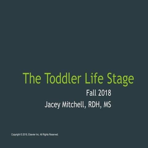 Toddler Life Stage | PPT