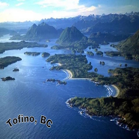 TOFINO POWERPOINT | PPT