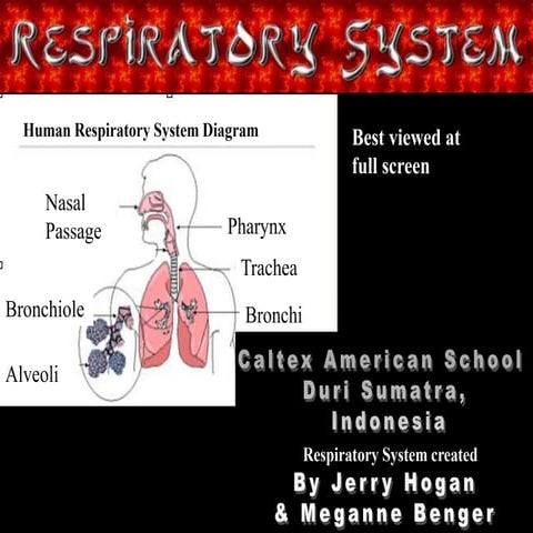 Respiratory System | PPT