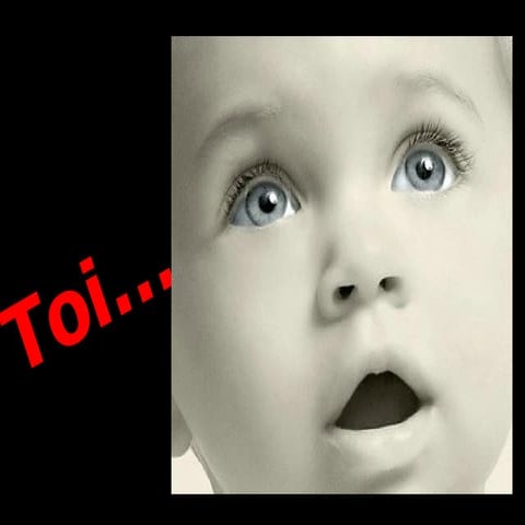Toi | PPS