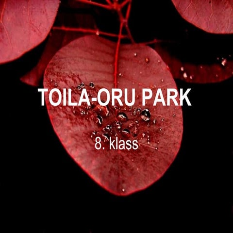 Toila Oru Park | PPT