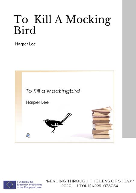 Chick Literature (Chick Lit) | PPTX