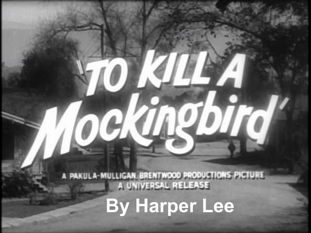 To kill a mockingbird introduction | PPTX