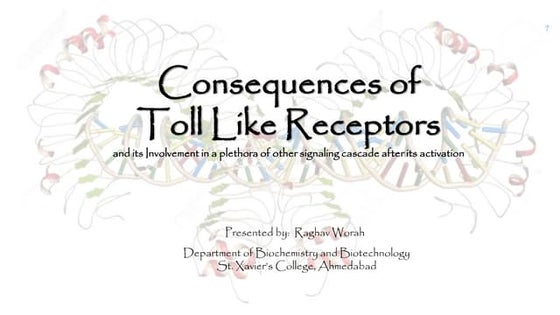 Toll like receptors in periodontology | PPTX | Genetics | Science
