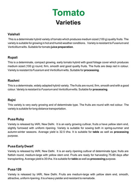 Rabi crop varieties ( release or recommended by IGKV) | DOCX | Agriculture | Industries