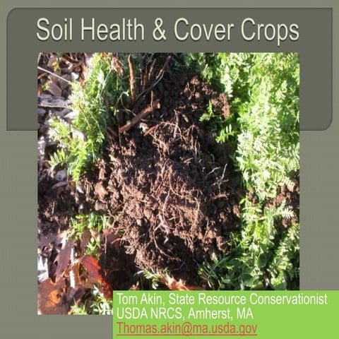 Using Cover Crops to Develop Disease Suppressive Soil | PDF
