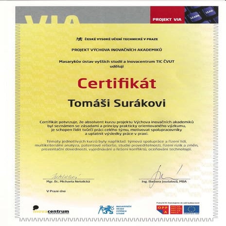 VIA Certificate | PDF