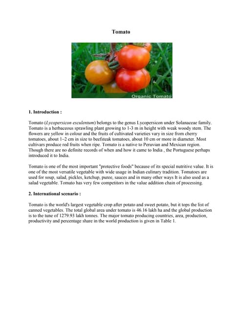 Tomato ppt | PPT