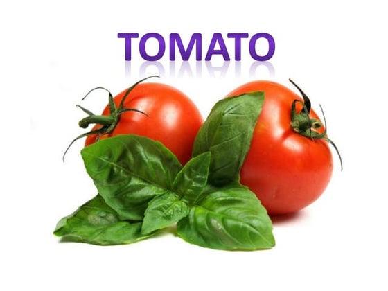 Tomato ppt | PPT