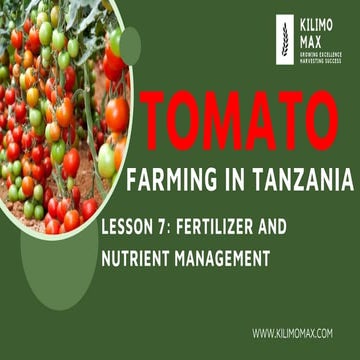 Tomato Fertilizers.pptx