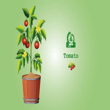 Presentation - Growing Tomato Plants_20251105_070004_0000.pptx