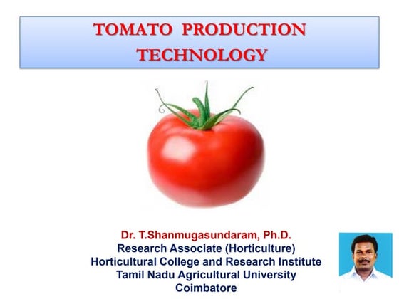 Strawberry production technology | PPTX | Gardening | Home & Garden
