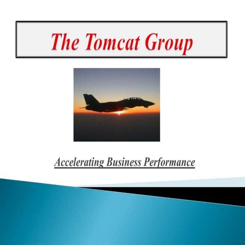 Tomcat group presentation may 2011 | PPT