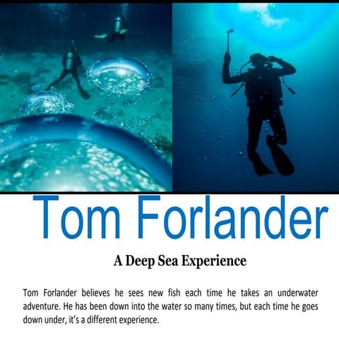 Tom Forlander | PPT