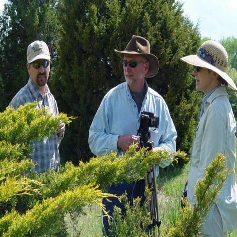 Creative Gardening Strategies for Tough Locations by Tom Heald | PPT