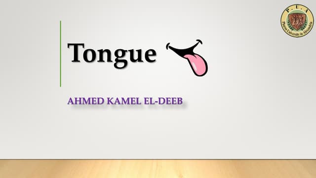 Anatomy of the tongue | PPT