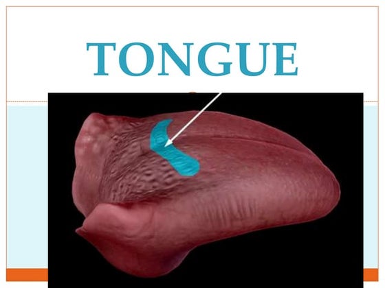 Development of tongue | PPTX