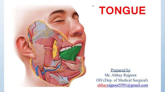 Histology of tongue by Dr. Shubham Gupta | PPTX | Ear, Nose and Throat Conditions | Diseases and ...
