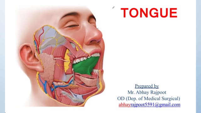 Tongue (Anatomy & Physiology) | PPTX