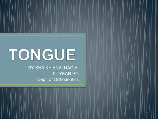Anatomy of the tongue | PPT